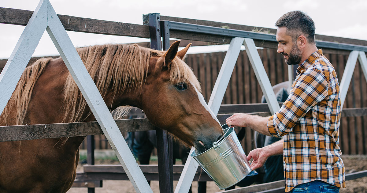 Safety Meeting: Working with Animals - Safe At Work California