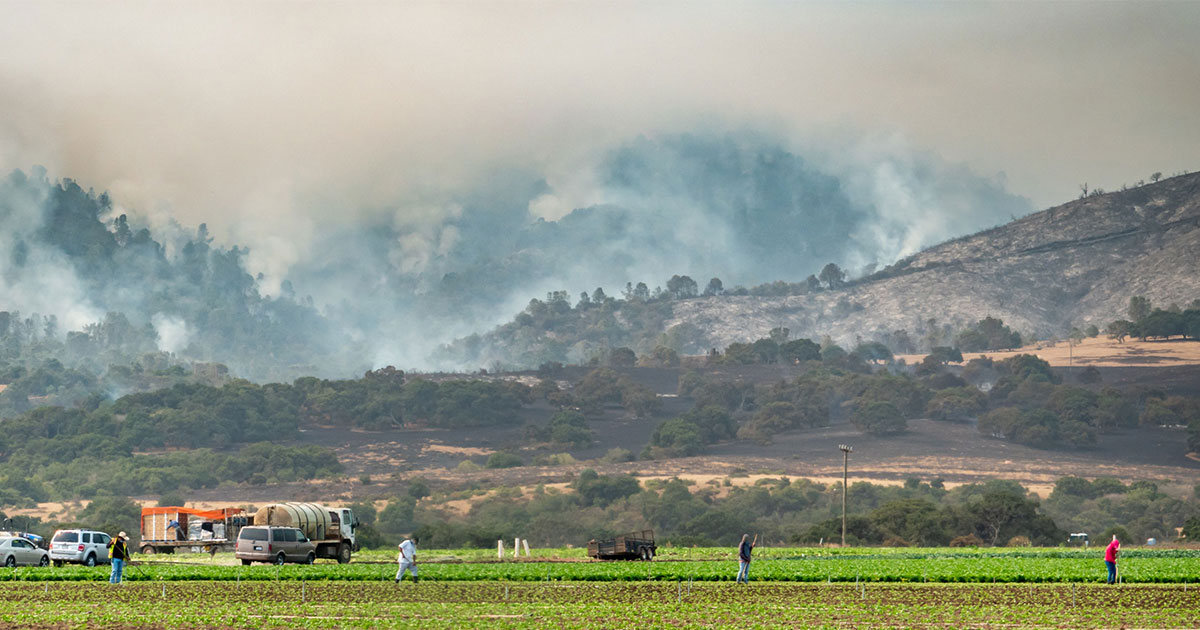 Normativas sobre el humo de incendios forestales